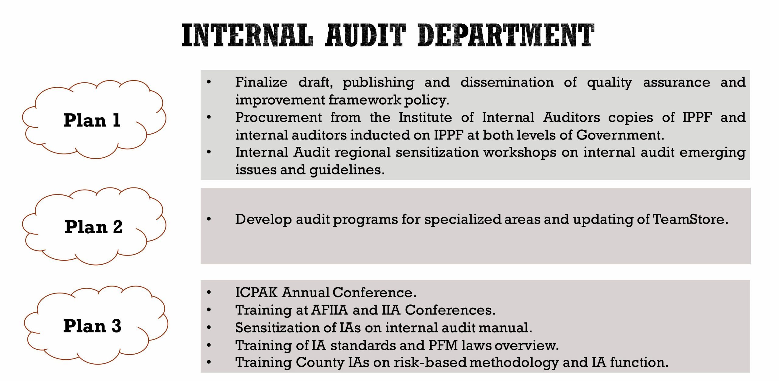 Internal Audit Department